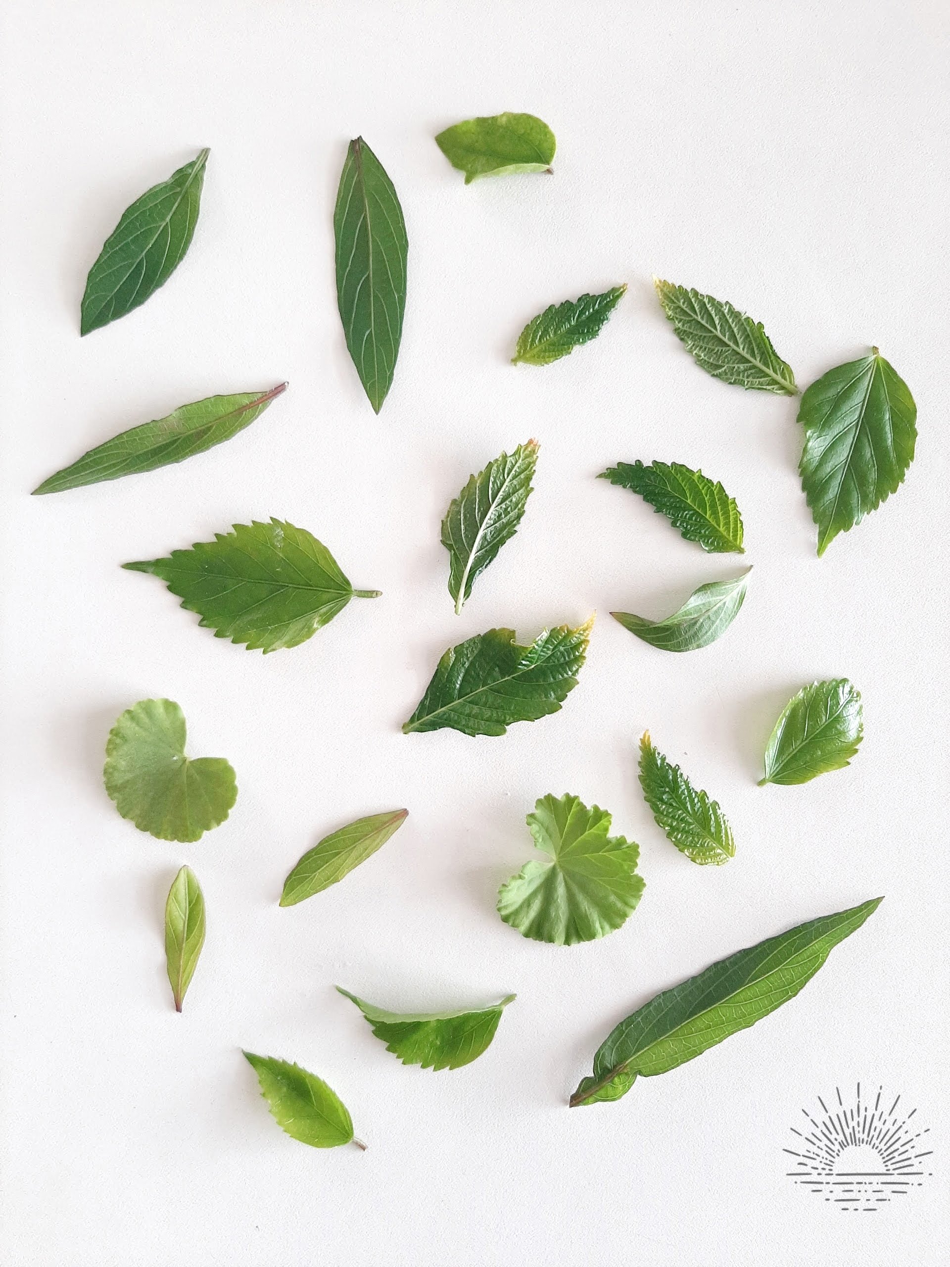 Experiments with air-drying paper clay | NomadeCrafts